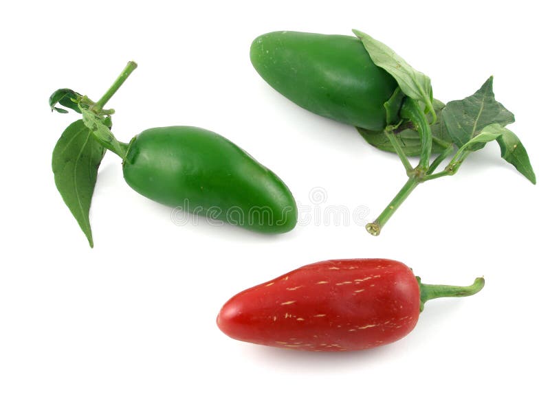 Peppers stock image. Image of rating, stems, jalapeno - 1006859
