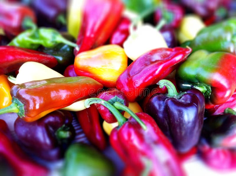 Peppers stock photo. Image of vegetables, background - 27967906