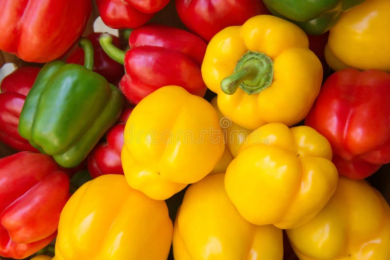 Multi-Colored Bell Peppers stock image. Image of bell - 45244685