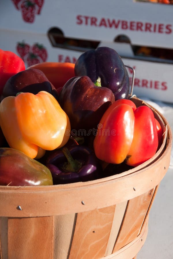 Peppers in basket stock photo. Image of fresh, ingredient - 16817220
