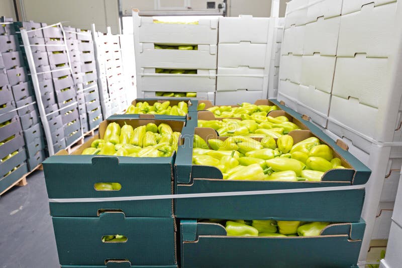 Peppers Boxes stock image. Image of market, crate, crates - 186538999