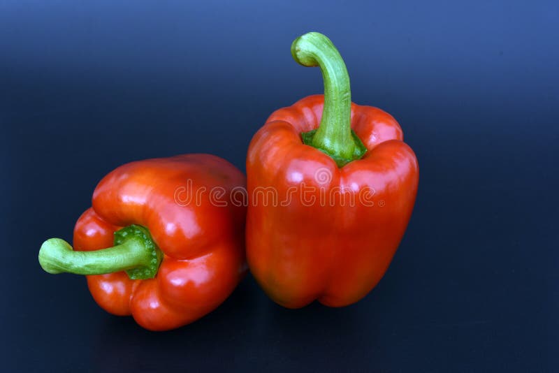 Peppers, Capsicum, annuum stock photo. Image of capsicum - 274843894