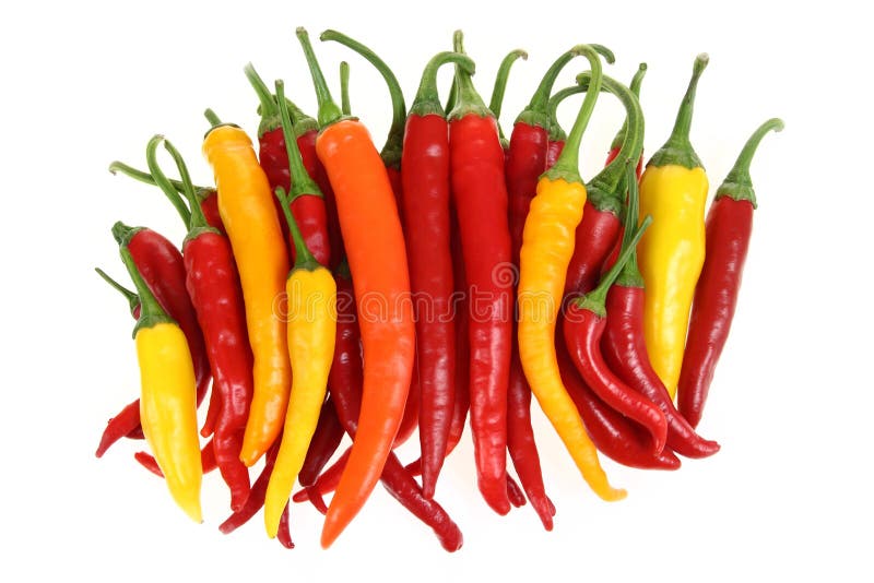 Peppers stock photo. Image of chilli, vegetarian, natural - 41094592