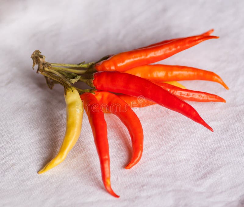 Peppers family stock image. Image of energy, health, extravagant - 79869385