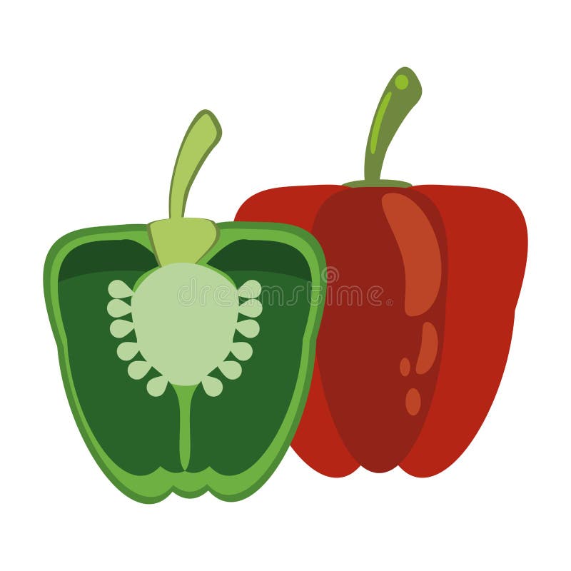 Peppers Half Cut with Seeds Vegetables Stock Vector - Illustration of ...
