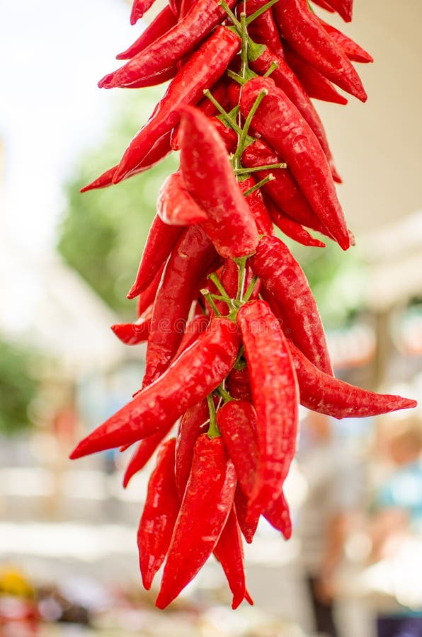 Hanging chilis stock photo. Image of chili, mexico, southwest - 3943920