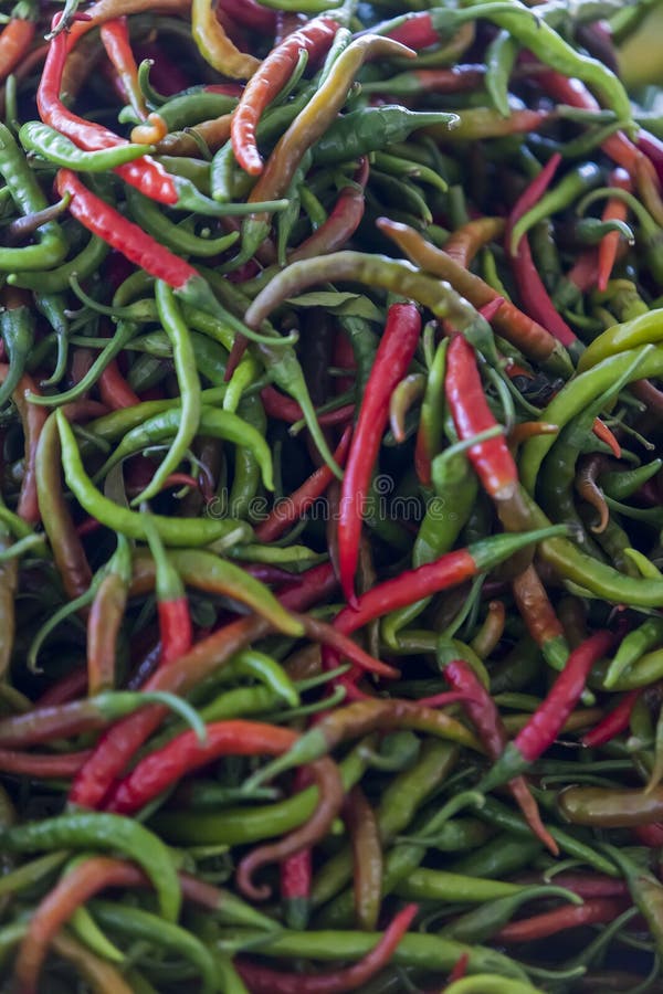 Peppers stock image. Image of closeup, fresh, freshness - 47741619