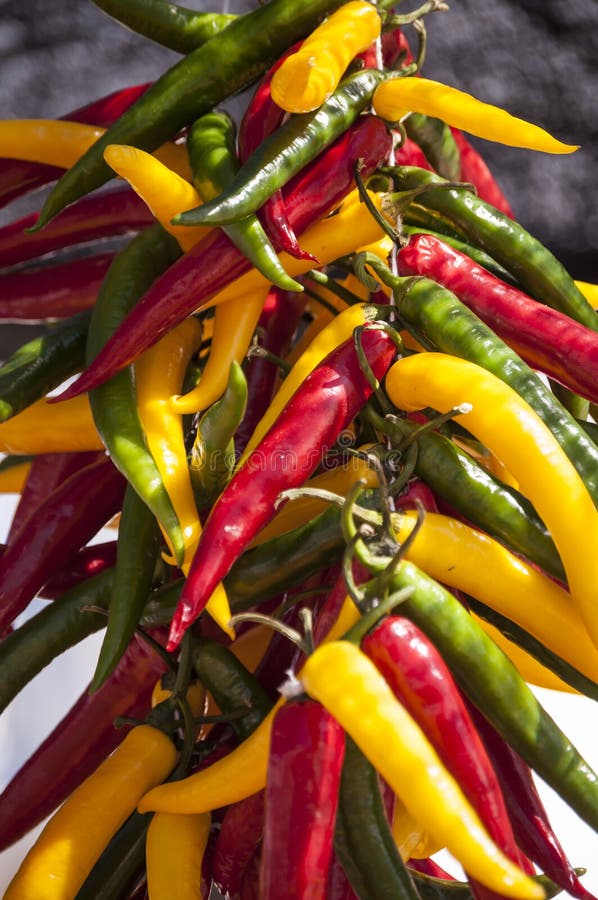 Peppers stock image. Image of markets, salsa, food, peppers - 46874569