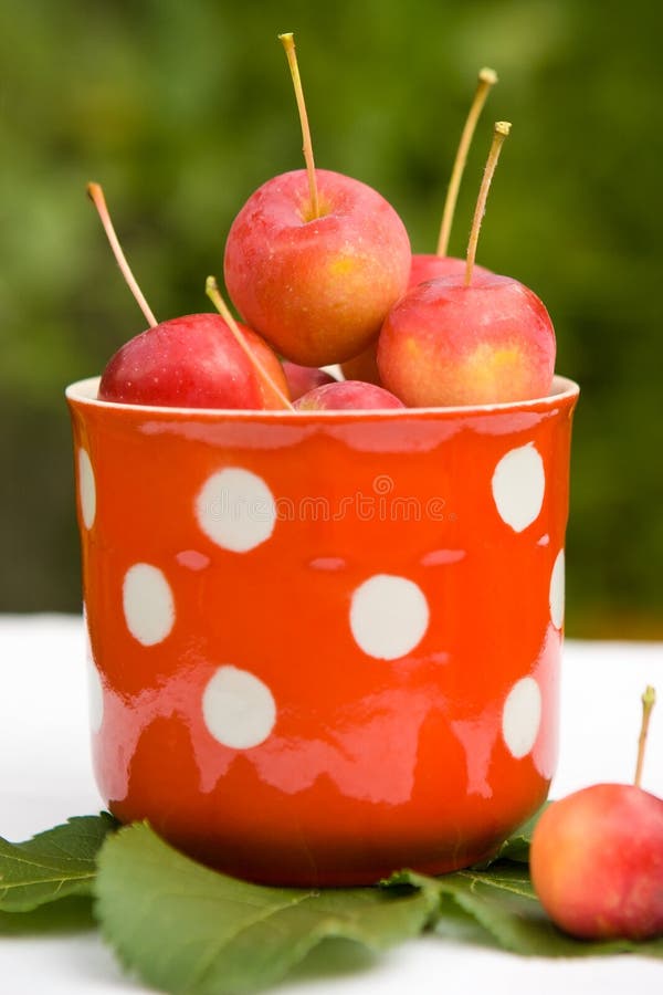 Pequeñas manzanas rojas foto de archivo. Imagen de delicioso - 4833646
