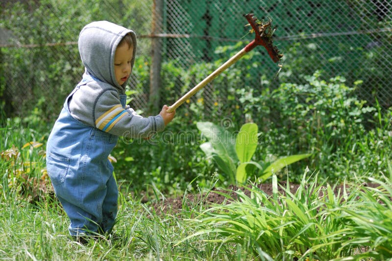 Pequeño Muchacho Con El Rastrillo Imagen de archivo - Imagen de chaval ...