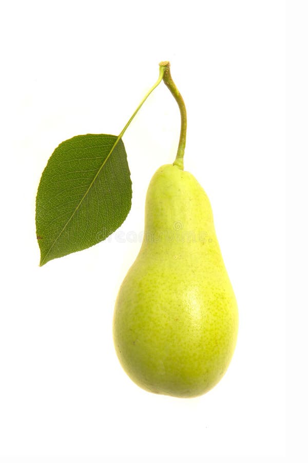 Pera imagen de archivo. Imagen de comestible, lifestyle - 11258733