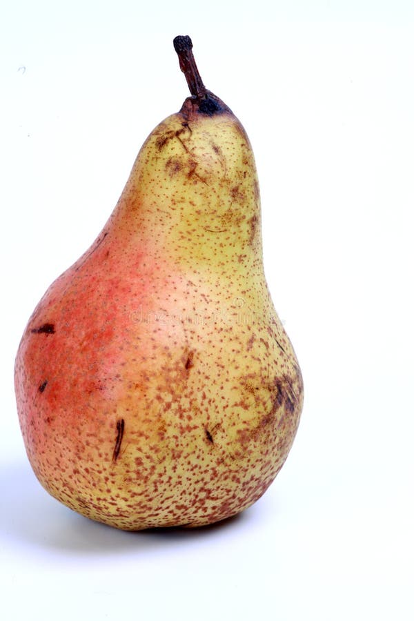 Pera immagine stock. Immagine di pianta, agricoltura - 12760753