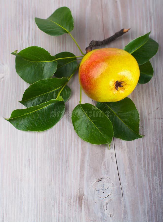 Pera imagem de stock. Imagem de filial, vermelho, fruta - 16741279