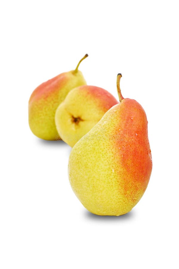 Pera de Packhams imagen de archivo. Imagen de alimento - 25539773