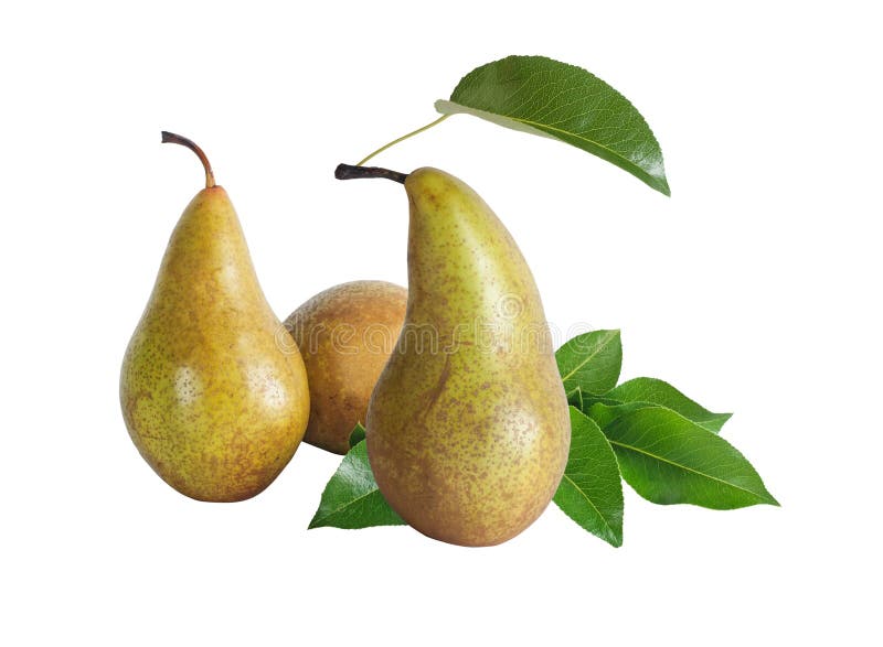 Pera foto de archivo. Imagen de germen, vida, comer, pera - 35990226