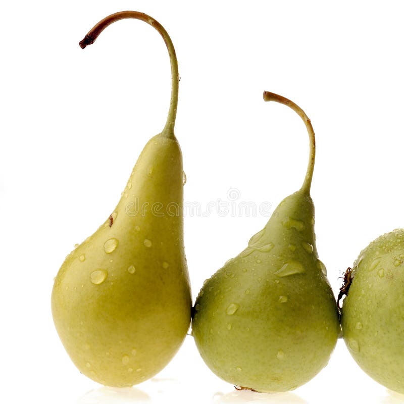 Pera foto de archivo. Imagen de granja, macro, pera, tallo - 379266