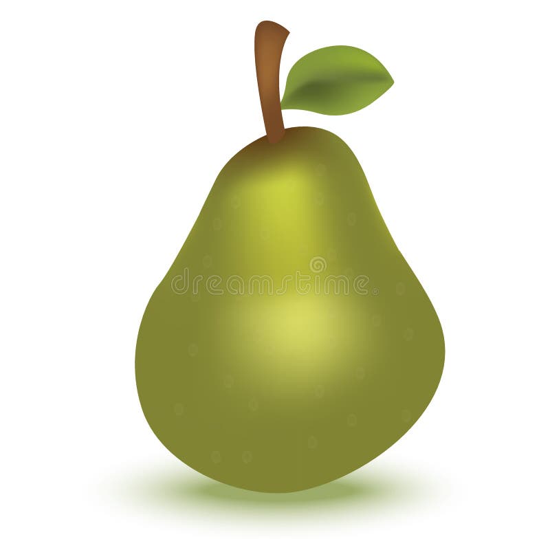 Pera (vector) ilustración del vector. Ilustración de vector - 9679724