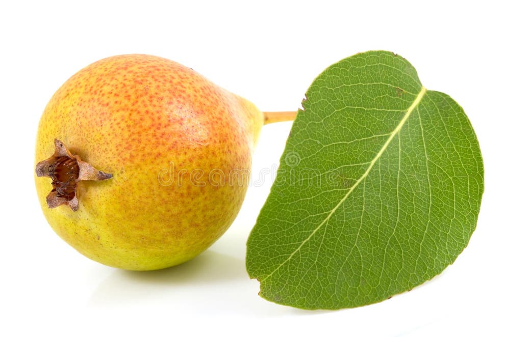 Pera aislada foto de archivo. Imagen de amarillo, fruta - 10401458