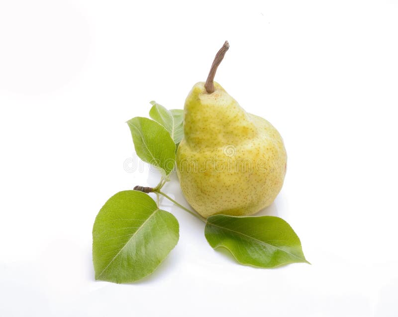 Pera Aislada En El Fondo Blanco Imagen de archivo - Imagen de fondo ...