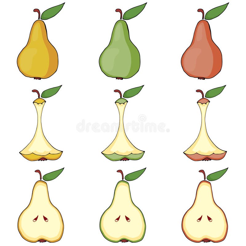 Pera, Base De La Pera, Medio Vector De La Pera Ilustración del Vector ...