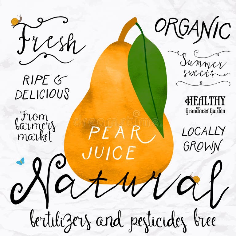 Pera da aquarela ilustração do vetor. Ilustração de pacote - 52263113