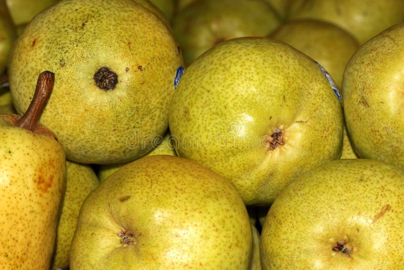 Pera De Bartlett, Pera De Williams, ` Communis De Williams Do ` Do ...