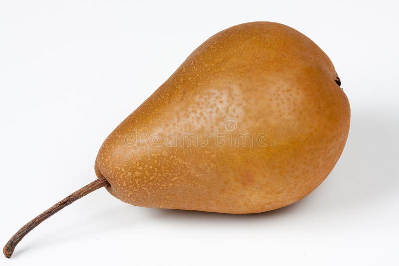 Pera de Bosc foto de archivo. Imagen de fruta, maduro - 16963334