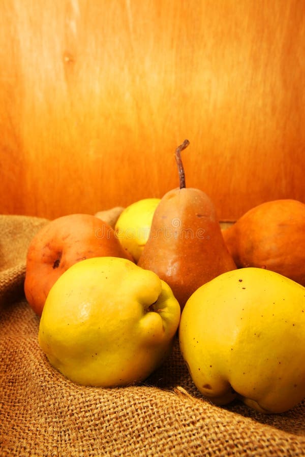 Pera de Brown com marmelo imagem de stock. Imagem de galinha - 40707855