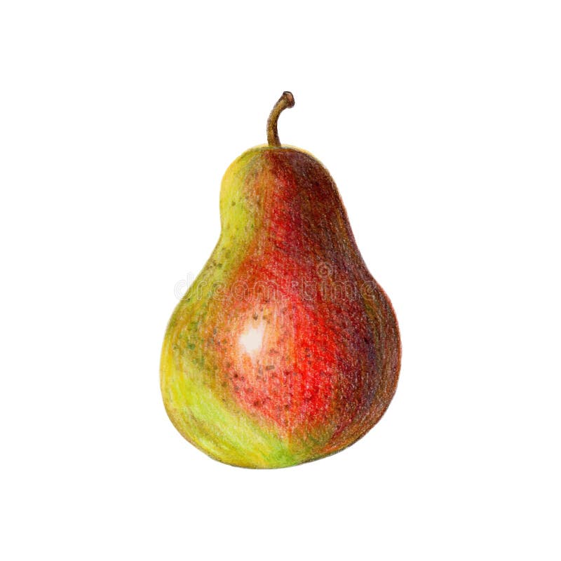 Pera Estratta Con Le Matite Colorate Illustrazione Vettoriale ...