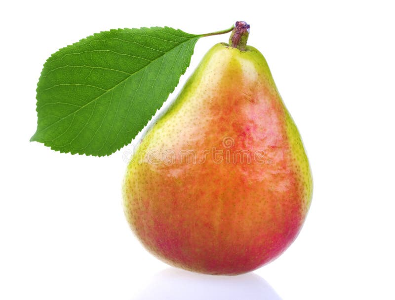 Pera fresca con la hoja imagen de archivo. Imagen de dulce - 14758175