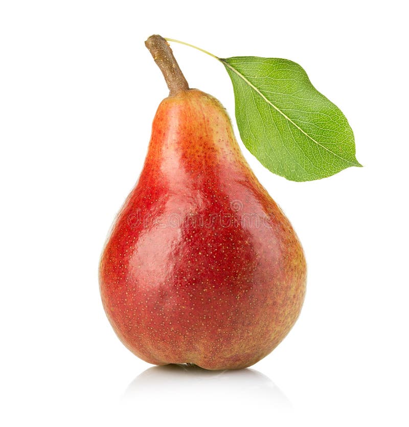 Pera Madura Con El Primer De La Hoja Aislado Imagen de archivo - Imagen ...