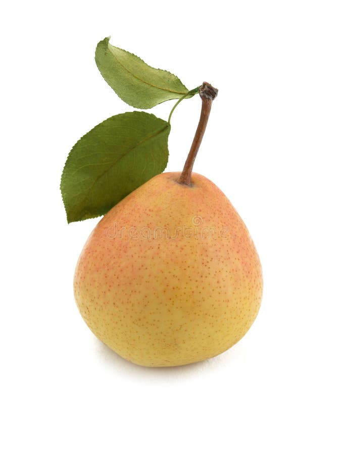 Pera Muito Bonita Isolada Em Branco Foto de Stock - Imagem de pera ...