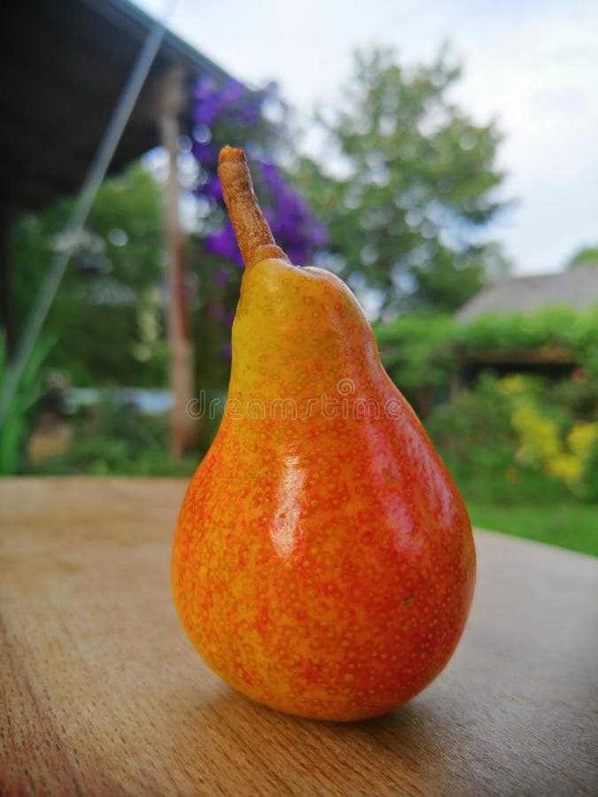 Pera naranja y verde foto de archivo. Imagen de producto - 190793774