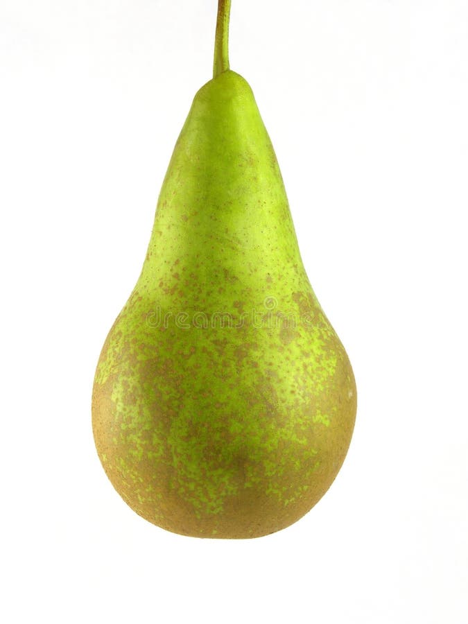 Pera verde imagen de archivo. Imagen de parque, verano - 2581053