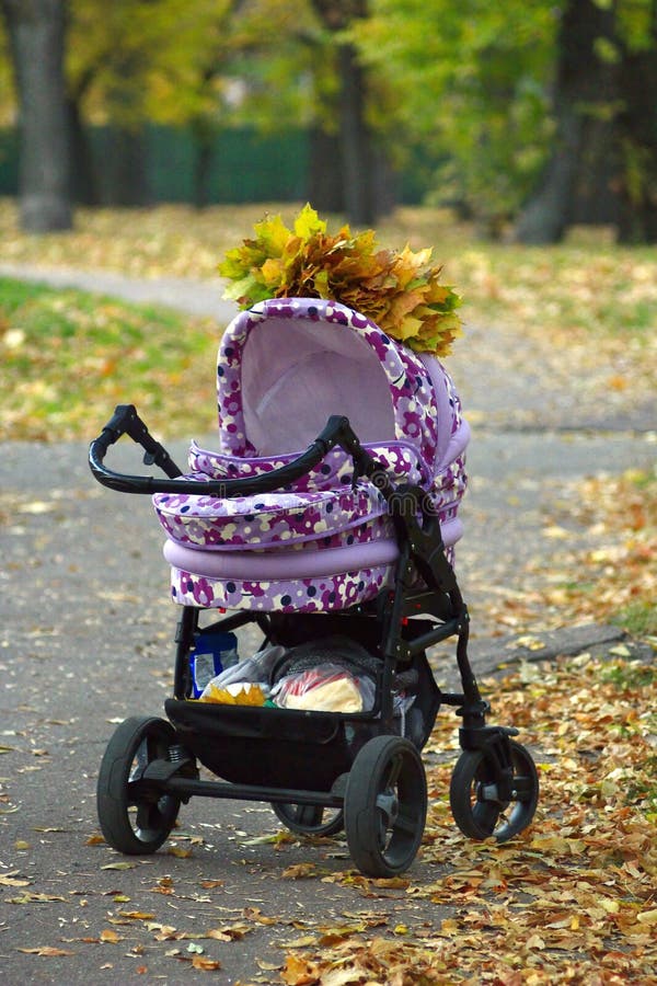 Perambulator Standing in the Autumn Park Stock Image - Image of child ...