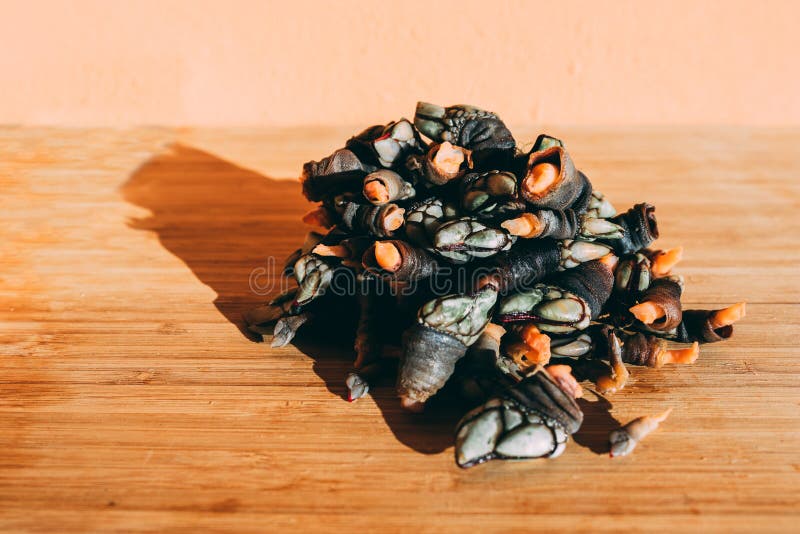 Percebes or Goose Barnacles or Gooseneck Barnacles Shell Fish Seafood ...