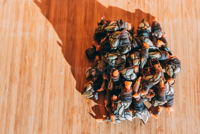 Percebes or Goose Barnacles or Gooseneck Barnacles Shell Fish Seafood ...