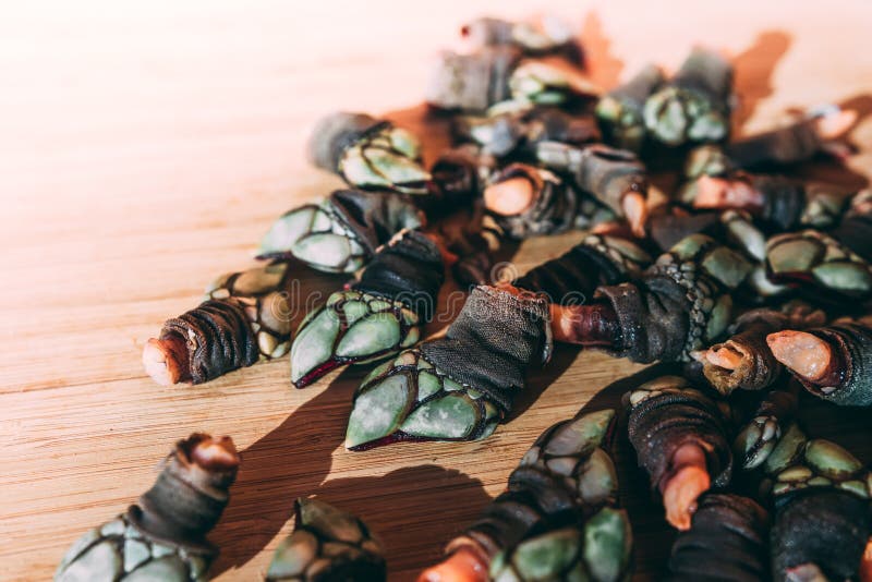 1,670 Goose Fish Stock Photos - Free & Royalty-Free Stock Photos from ...