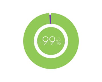 99 Percentage, 99 Percentage Circle Diagram Infographic Stock Vector ...