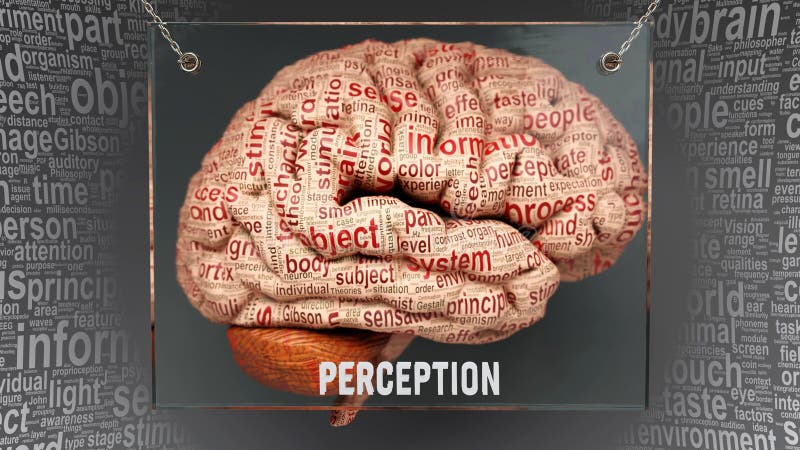 Perception in human brain stock illustration. Illustration of brain ...