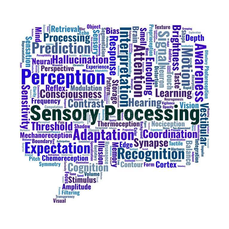 Perception and Sensory Processing Word Cloud. Key Concepts in Human ...