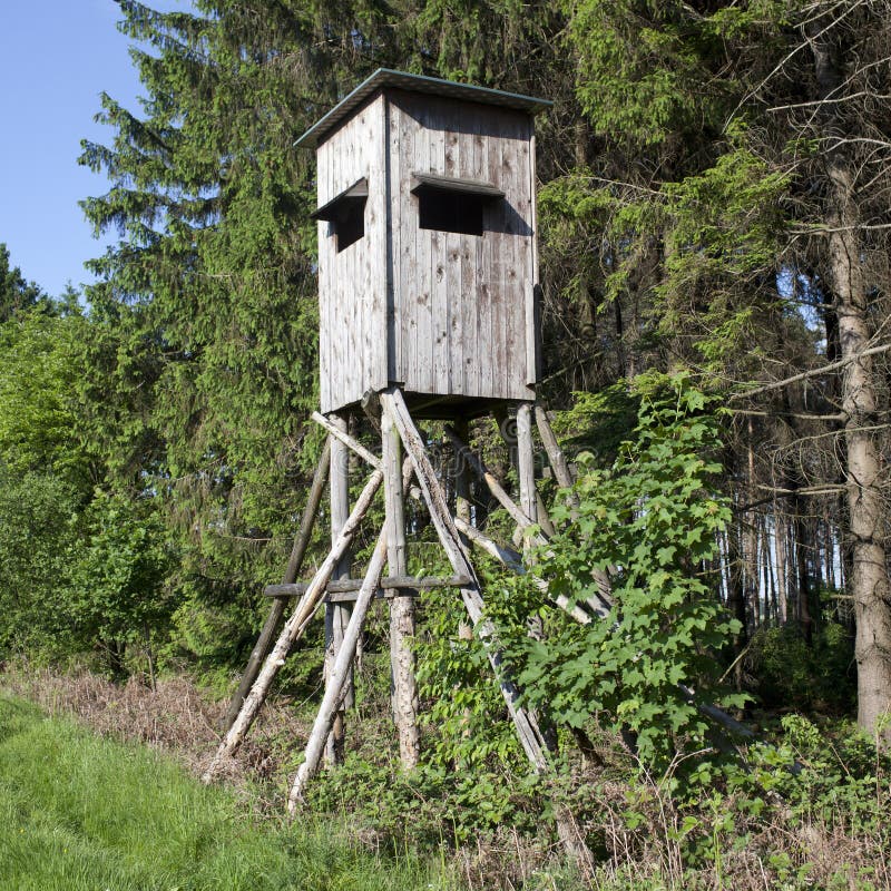 Perch stock image. Image of hunter, furniture, prospecting - 25398679