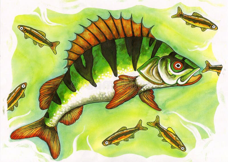 Perch stock vector. Illustration of cartoon, animated - 3166429