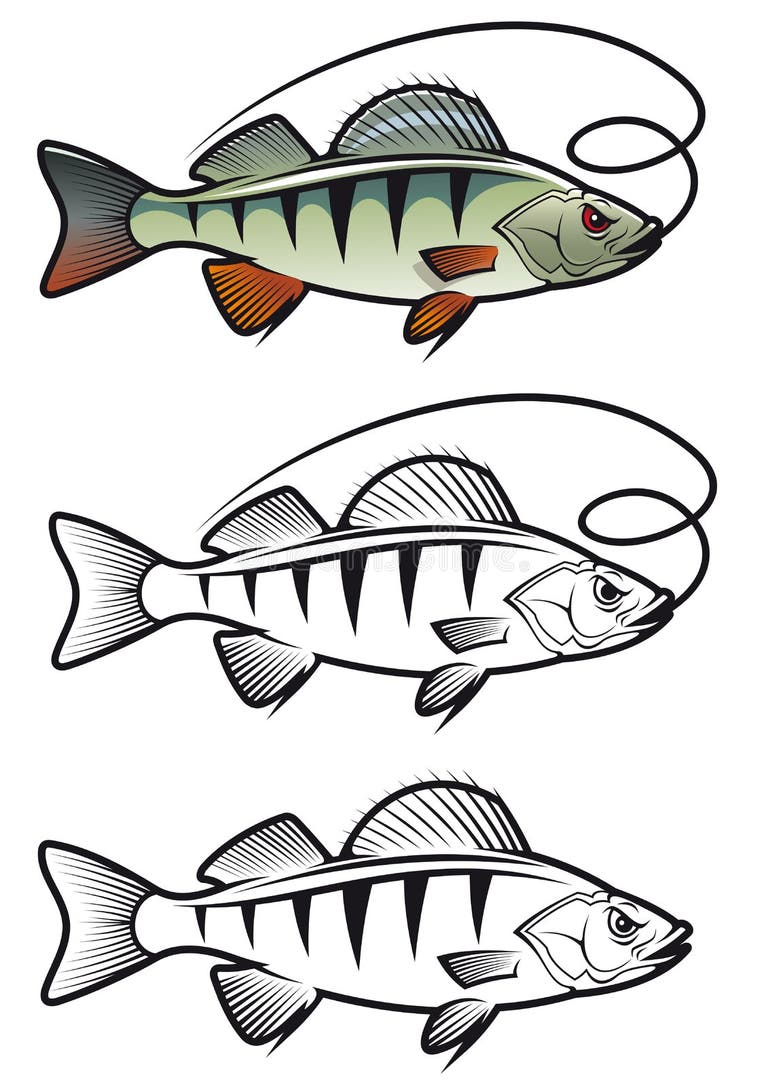 Cartoon Perch Fish Stock Illustrations – 1,630 Cartoon Perch Fish Stock ...