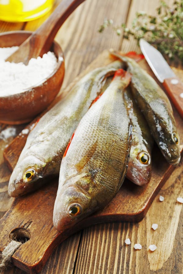 Perch, fish stock image. Image of board, dish, perch - 47035045