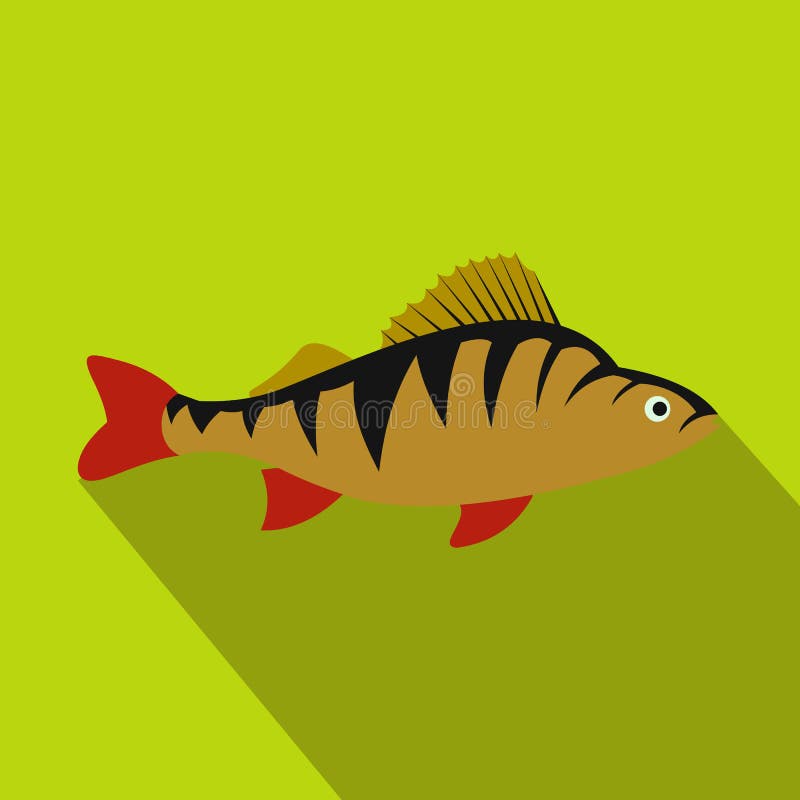 Perch Fish Icon, Flat Style Stock Illustration - Illustration of hook ...