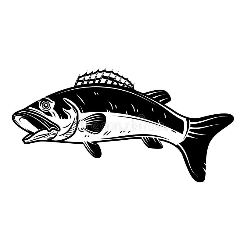 Redfish Stock Illustrations – 252 Redfish Stock Illustrations, Vectors ...