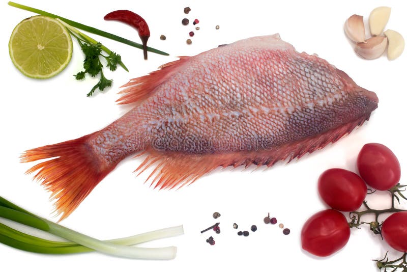 Perch stock image. Image of health, main, fillet, cooking - 39625415
