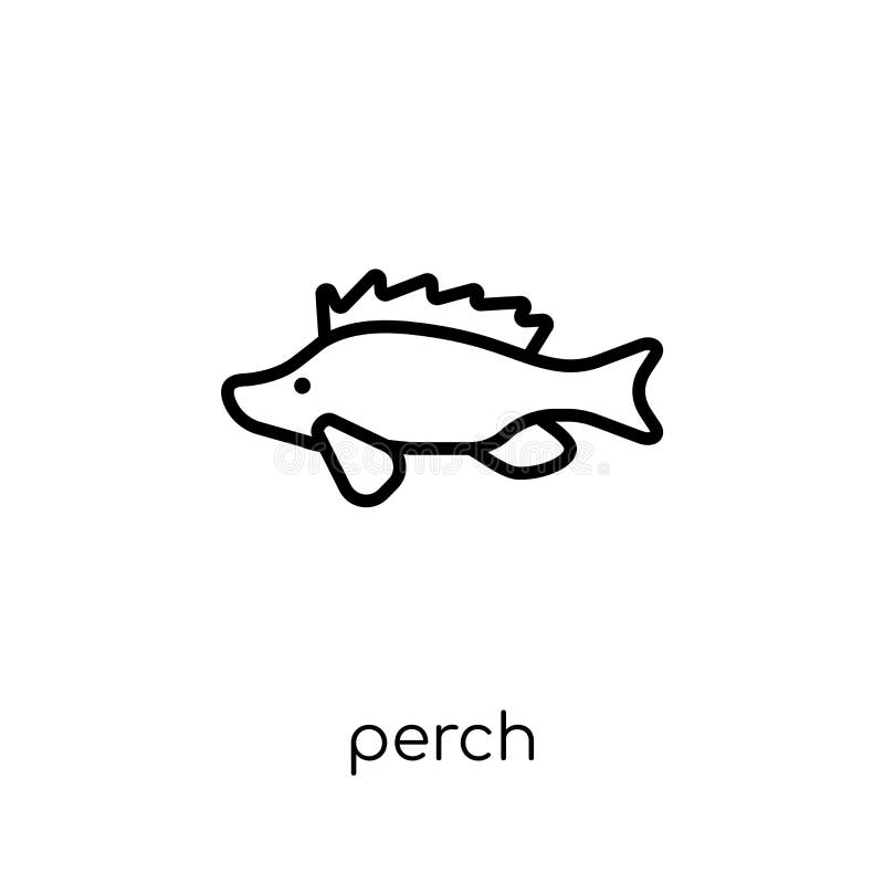 Perch Linear Icon. Modern Outline Perch Logo Concept on White Ba Stock ...