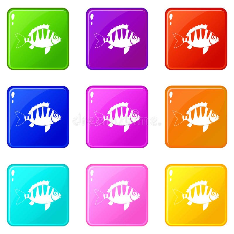 Perch icons 9 set stock vector. Illustration of perca - 96242397